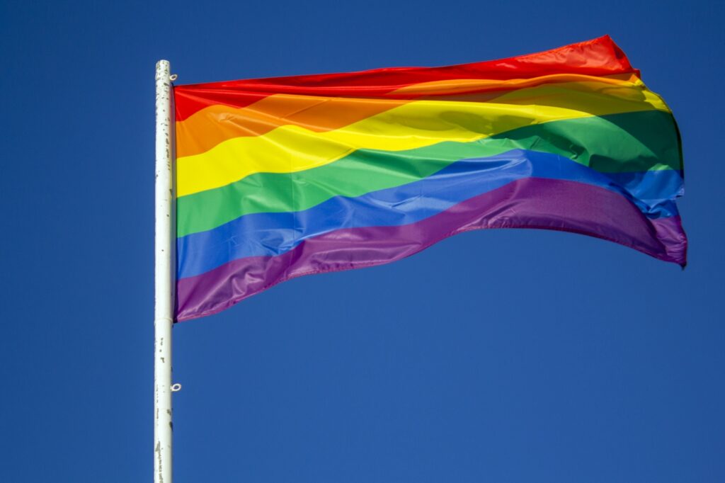 LYNN SEGERBLOM: THE STRAIGHT WOMAN WHO CO-CREATED THE RAINBOW FLAG